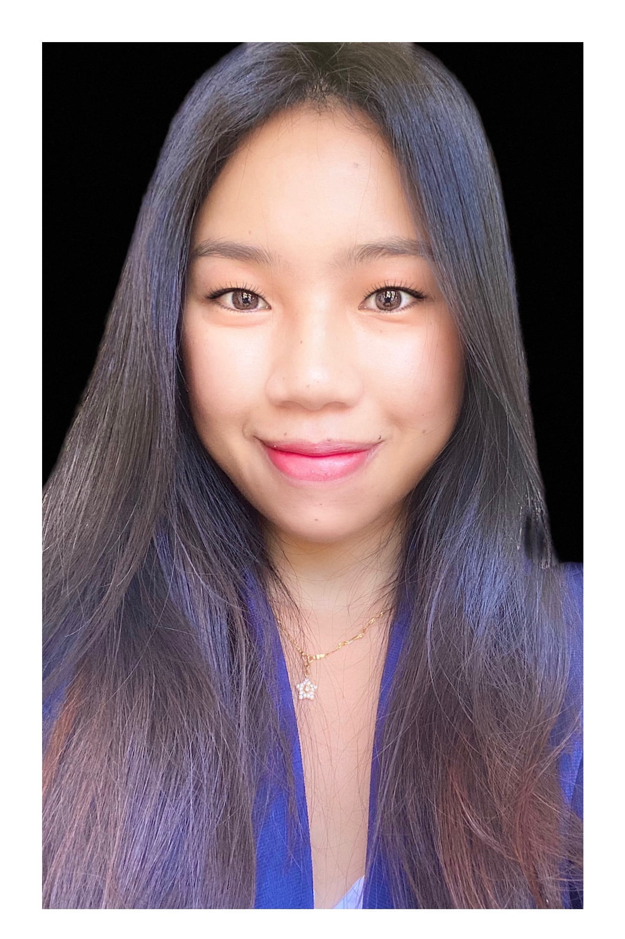 Activism Leadership Committees & General Meeting Voters Elections ...