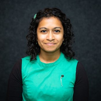 Activism Leadership Committees & General Meeting Voters Elections ...